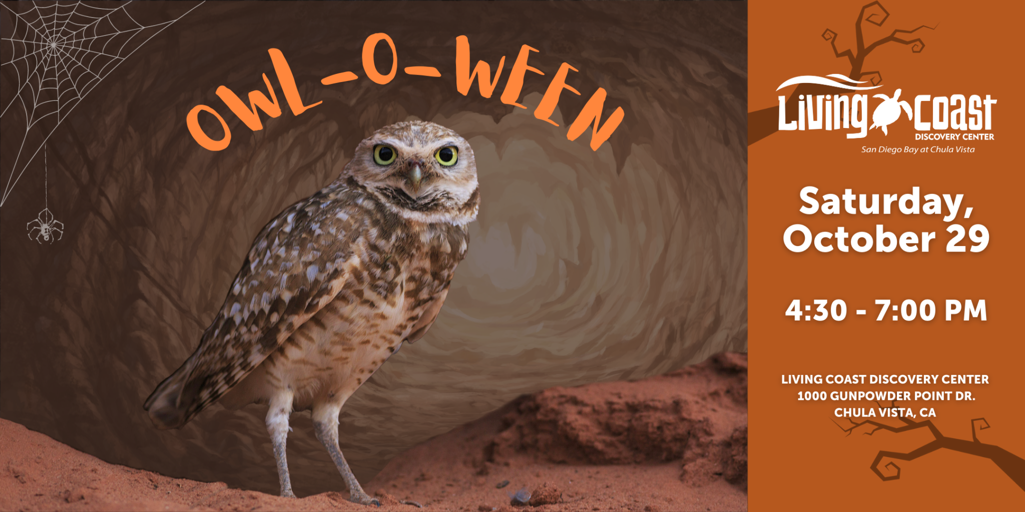 Owl-O-Ween - The Living Coast Discovery Center