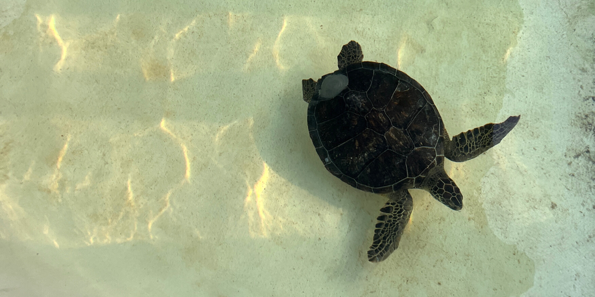 Exhibits - The Living Coast Discovery Center