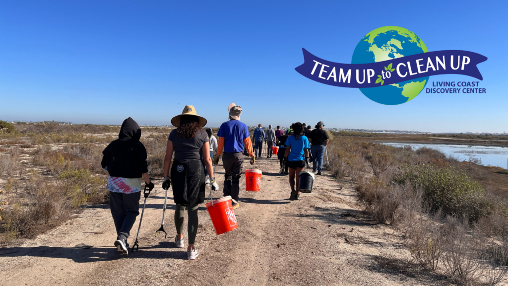 Sweetwater Marsh Clean-up - The Living Coast Discovery Center